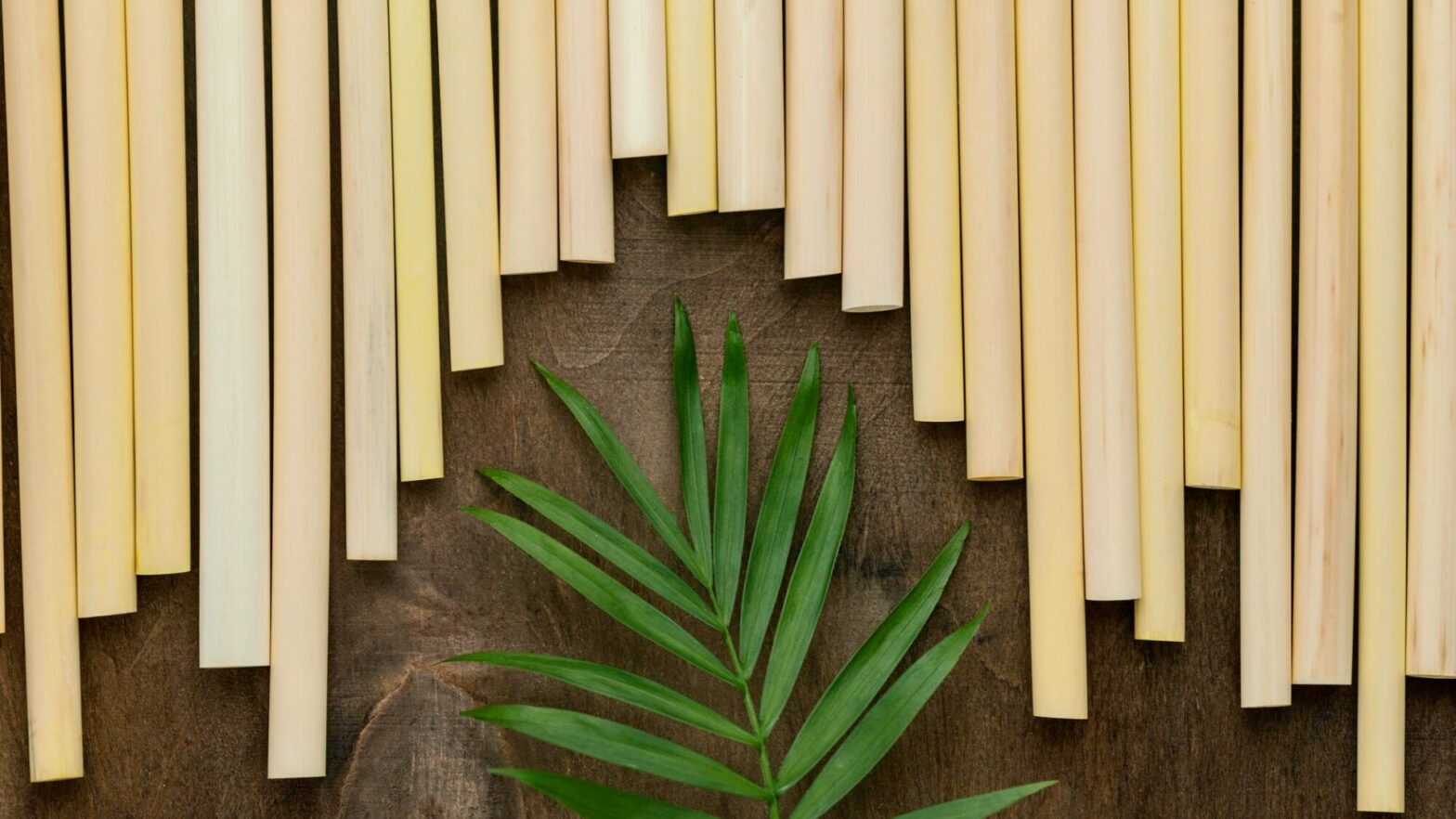 Carpintería Verde: Prácticas Sostenibles para Reducir tu Impacto ...